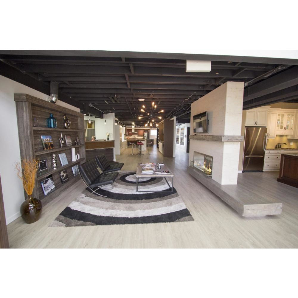 The Bio Flame 60-Inch Smart Firebox DS - See-Thru Ethanol Fireplace ...