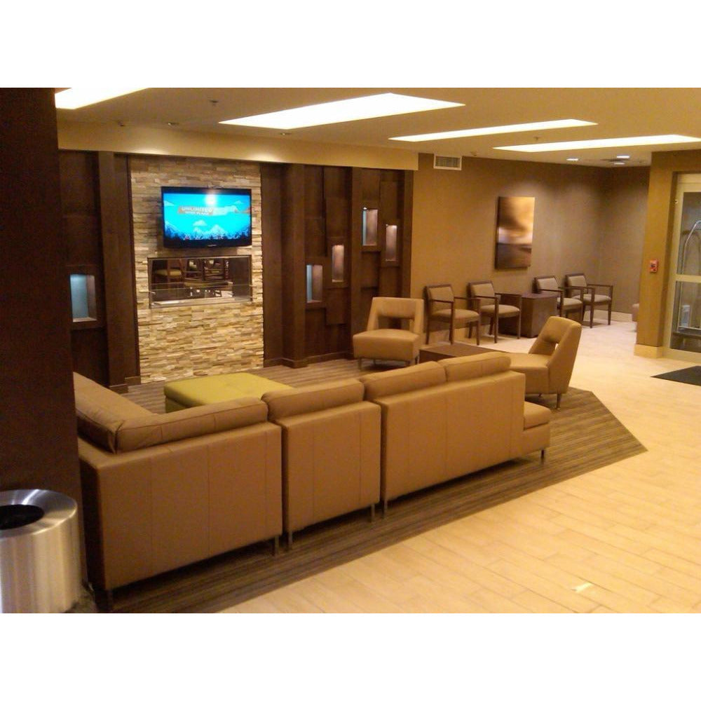 The Bio Flame 60-Inch Smart Firebox DS - See-Thru Ethanol Fireplace ...